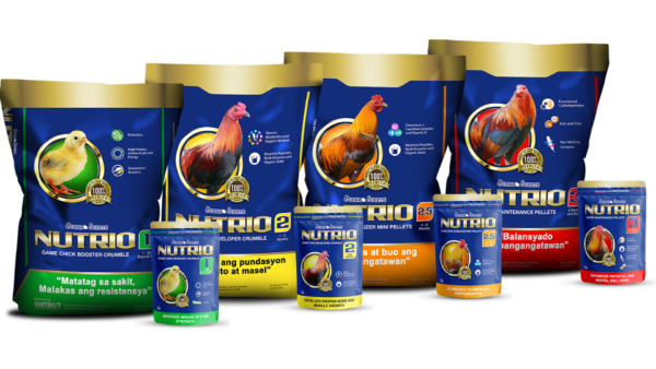 Home | Jetbest Animal Nutrition and Health Care, Inc.