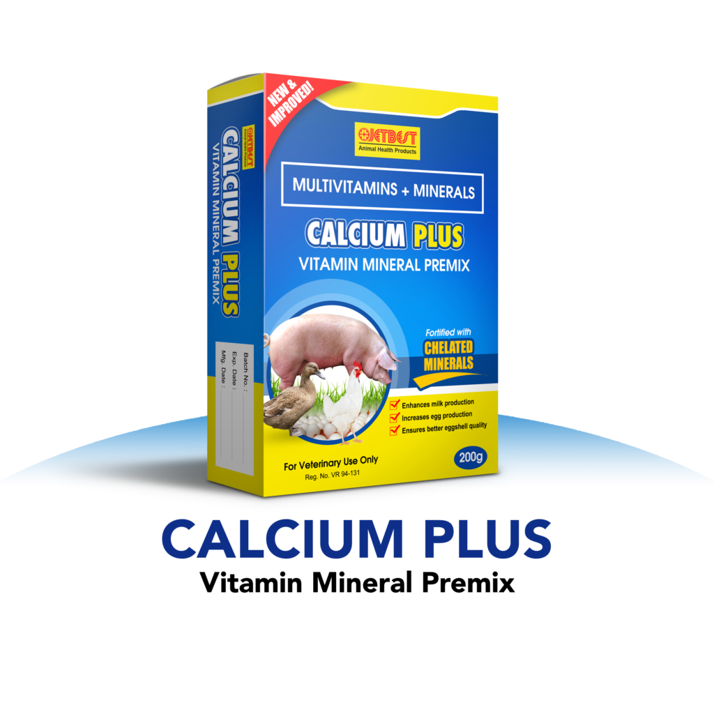 Poultry | Jetbest Animal Nutrition and Health Care, Inc.