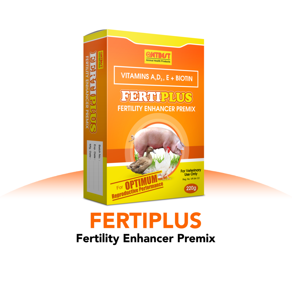 Poultry | Jetbest Animal Nutrition and Health Care, Inc.