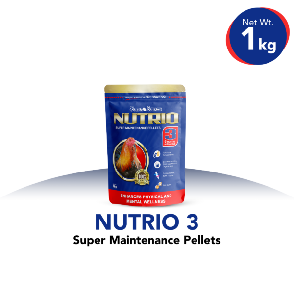 Home | Jetbest Animal Nutrition and Health Care, Inc.